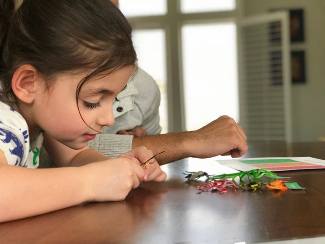 Ruby Reads Books | Ruby Reads Books