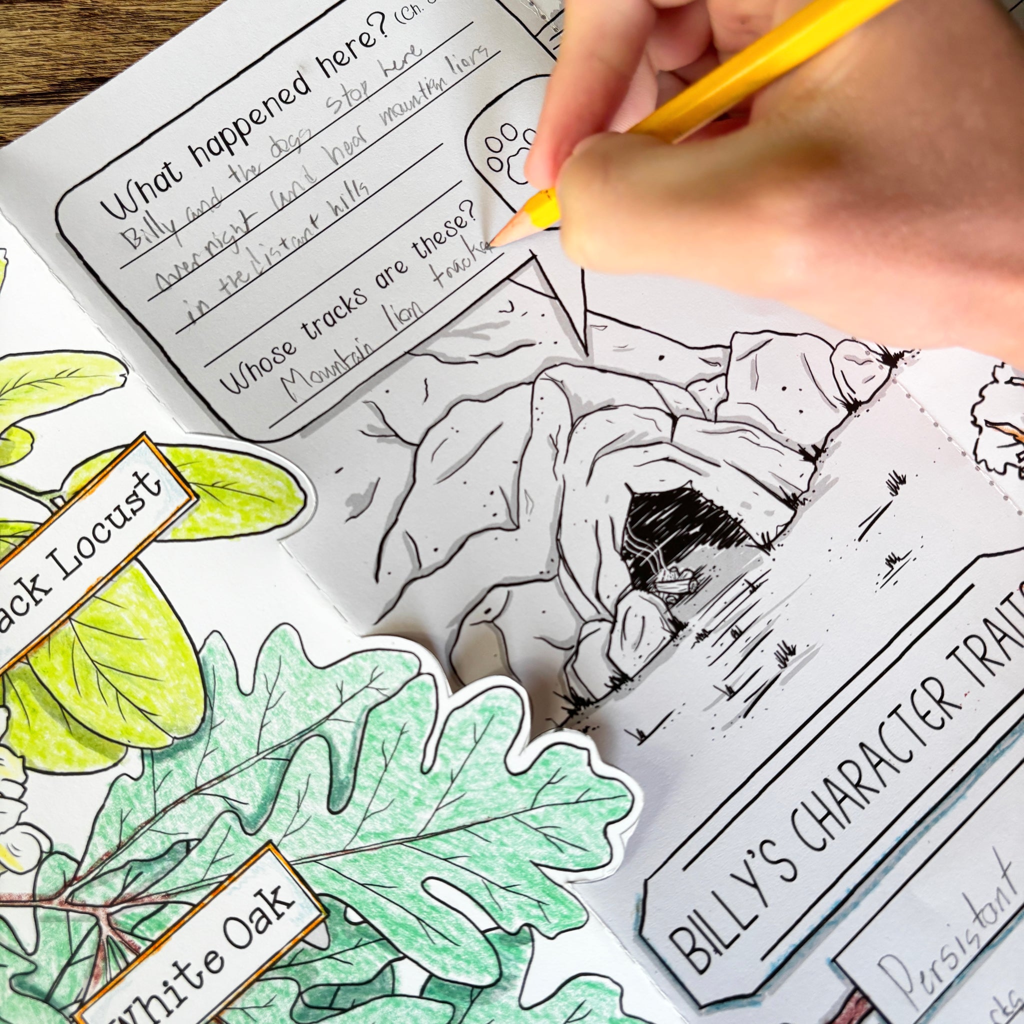 Ruby Reads Books | Ruby Reads Books