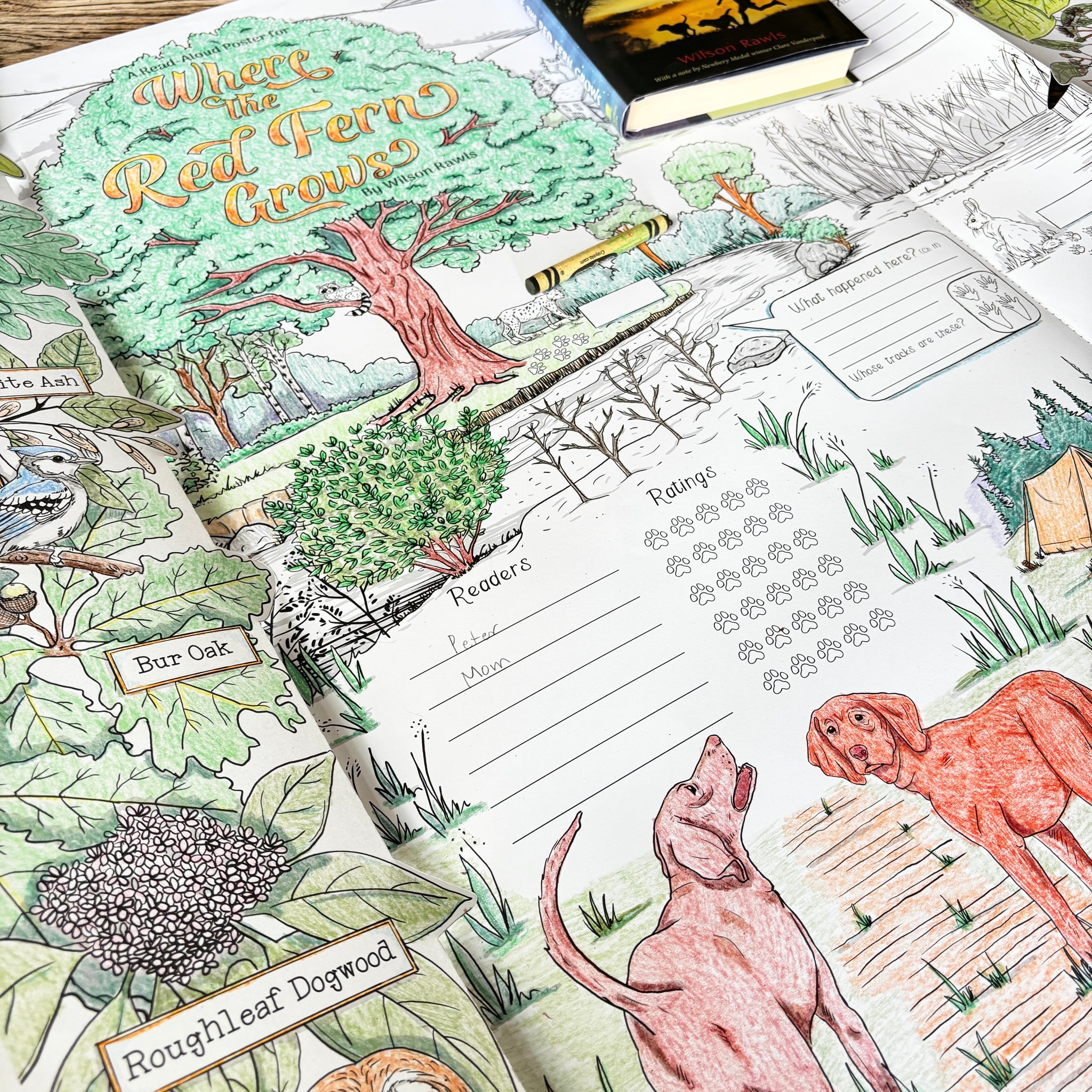 Ruby Reads Books | Ruby Reads Books