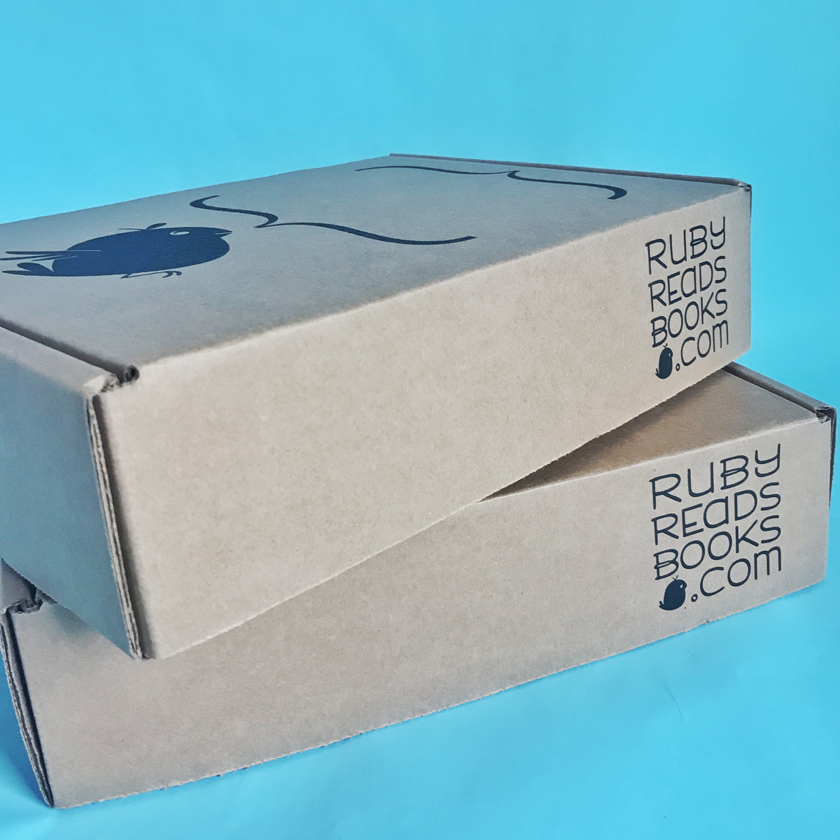 Book Box Bundle | Ruby Reads Books